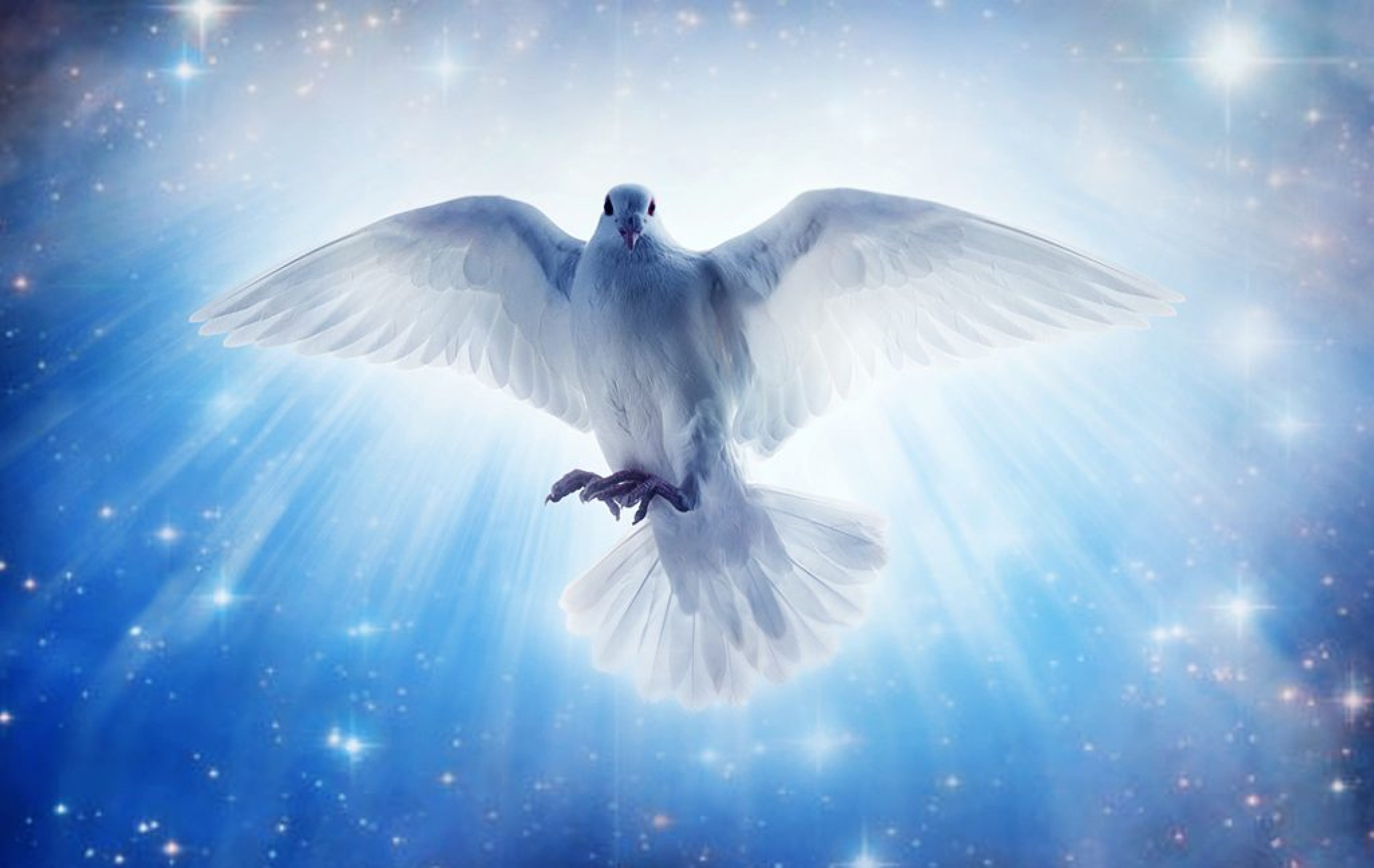 Vil NRK ønske oss en god pinse? Svaret er nok et nei | Human Rights Service