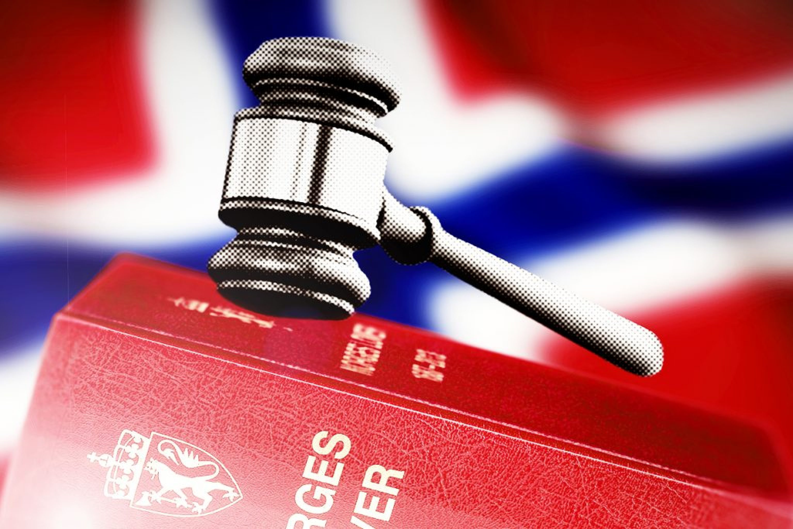 Dømt til fengsel for falsk forklaring | Human Rights Service