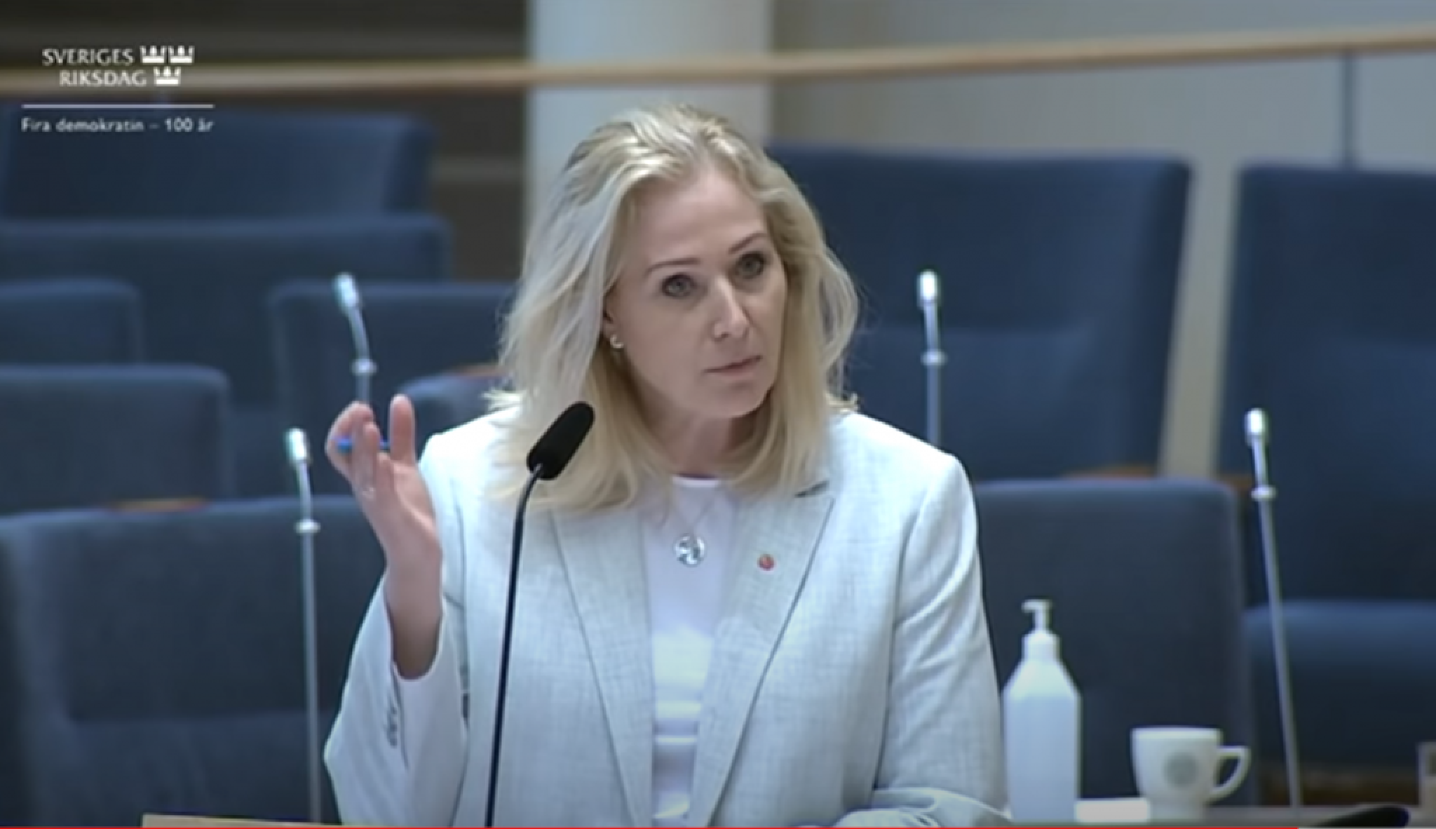 Kebab er kultur i Sverige, sier kulturminister | Human Rights Service