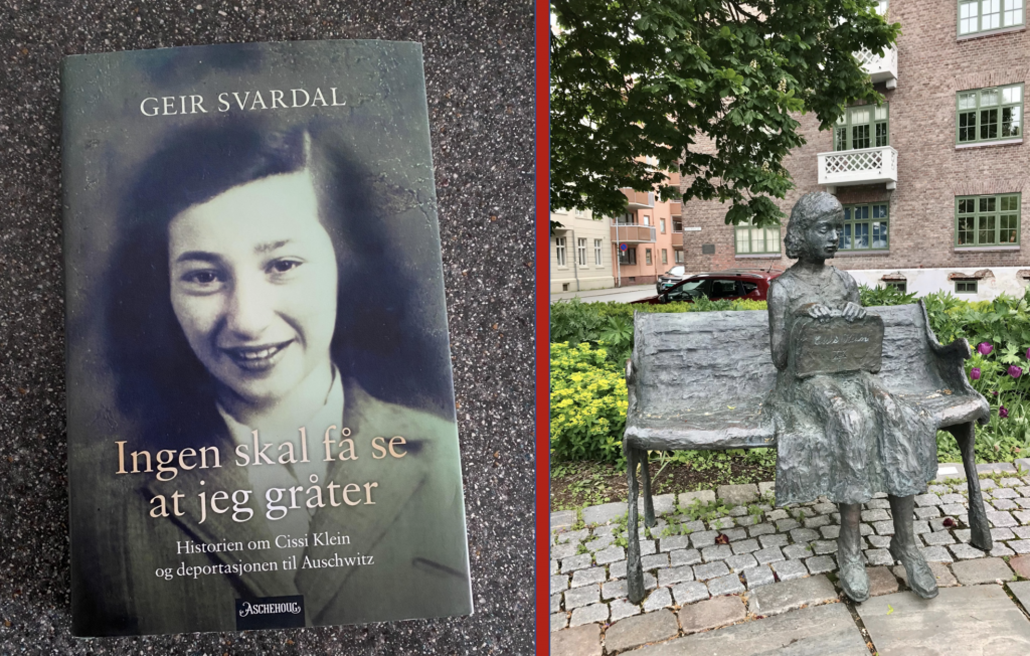 Historien om Cissi Klein | Human Rights Service